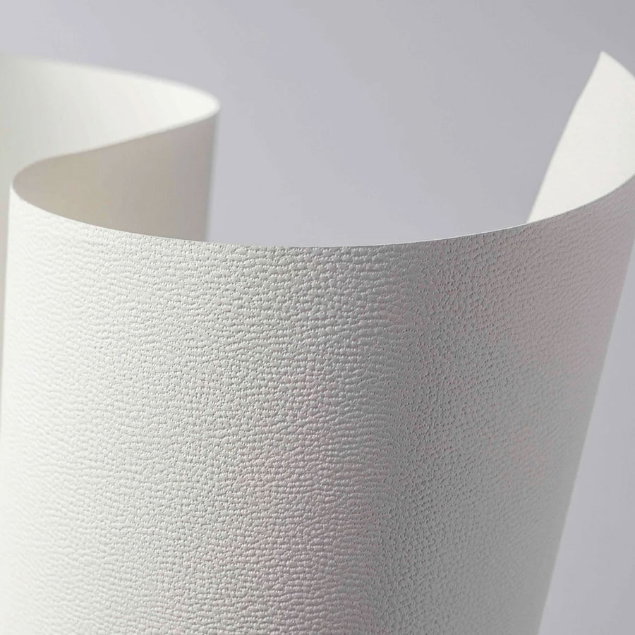 Paper Types – WallsNeedLove