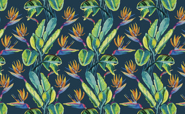 Oasis Collection: Kim Lyon Design x WallsNeedLove