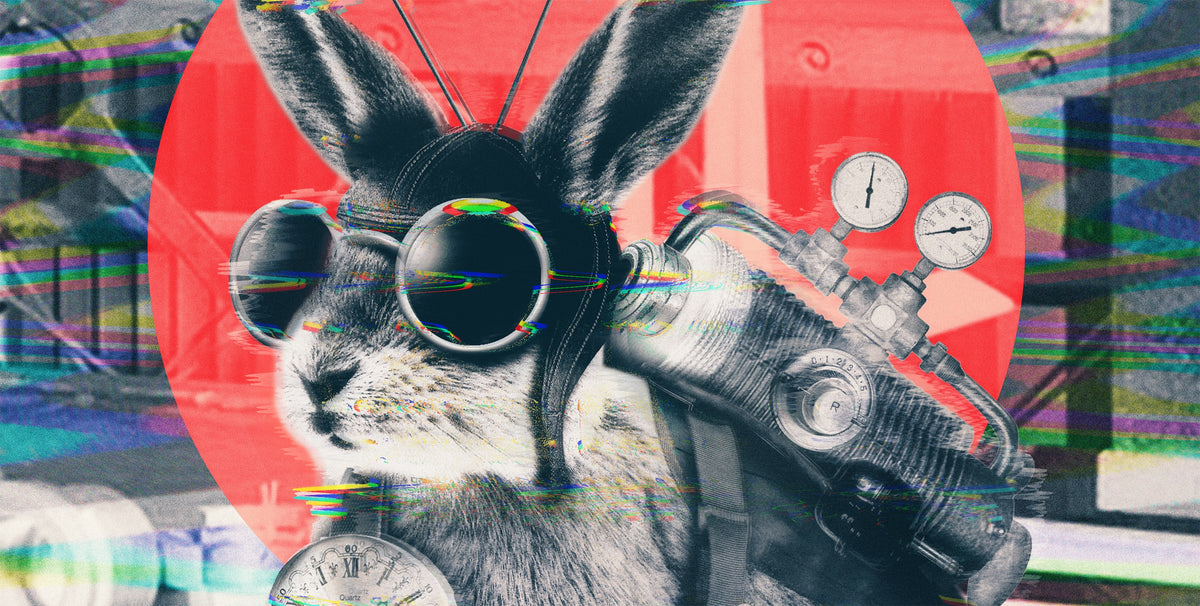 Rabbit Adventurer Wall Mural | Time Traveler