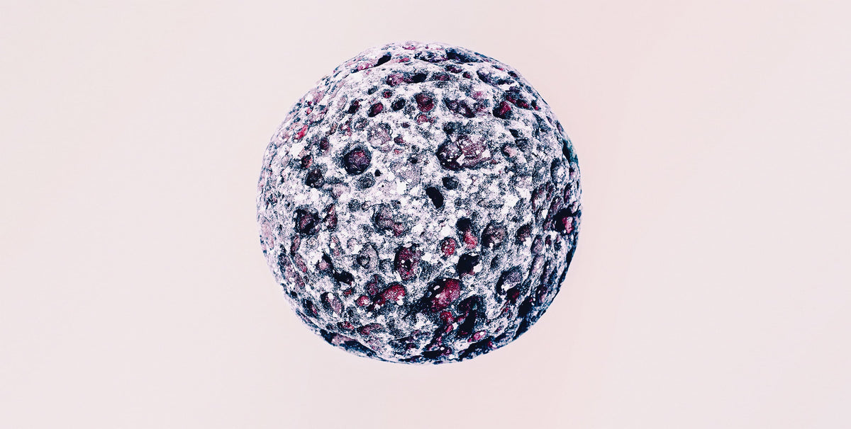 Moon Rock | Wall Mural | WallsNeedLove