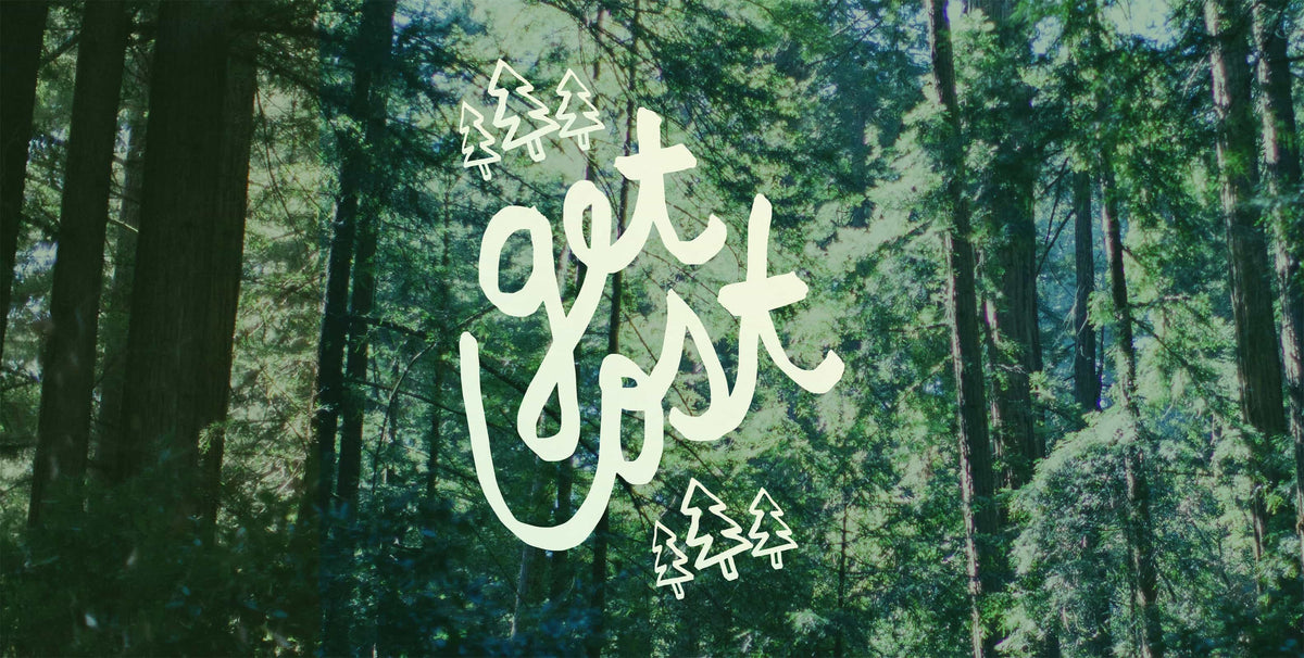 Get Lost Forest | Wall Mural | WallsNeedLove