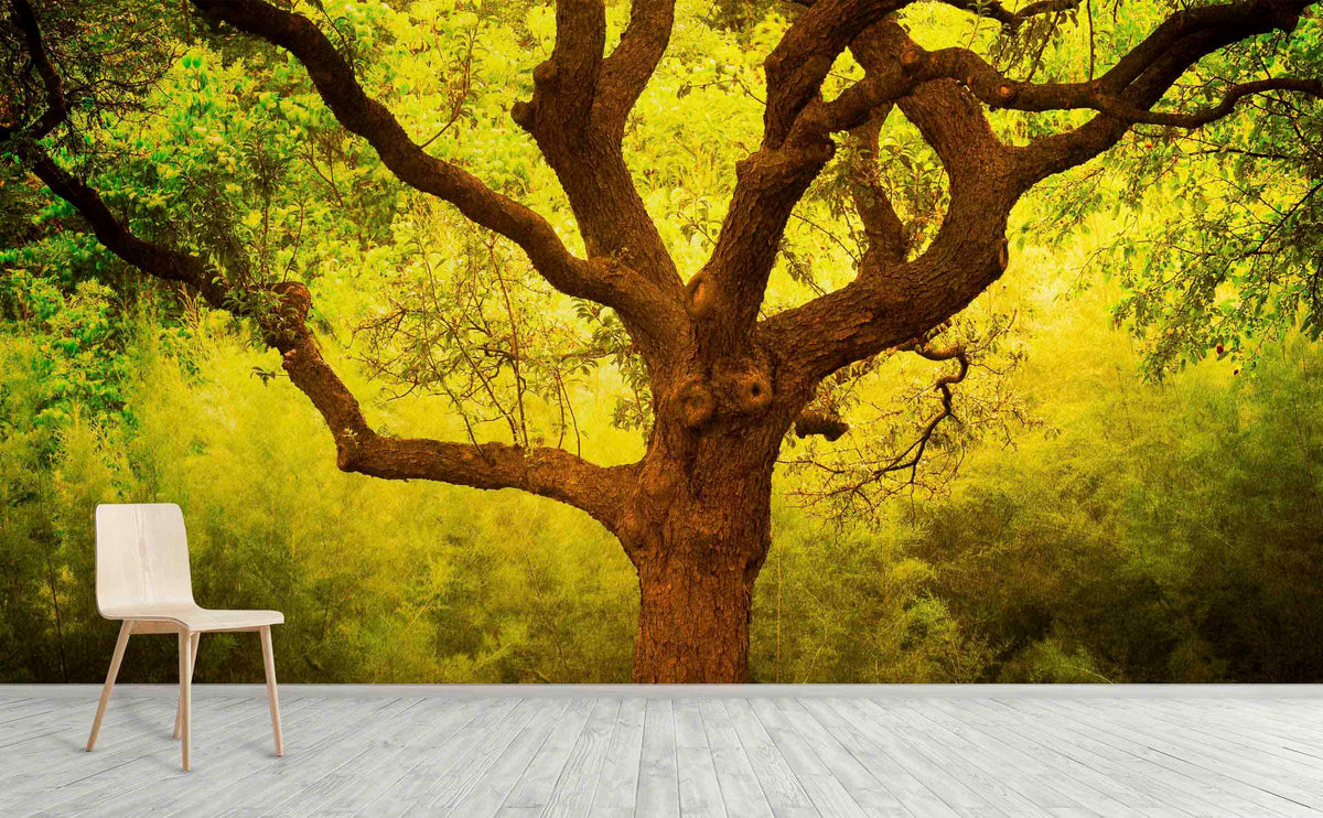 Tree Of Life Cantigney Park Il | Wall Mural | WallsNeedLove