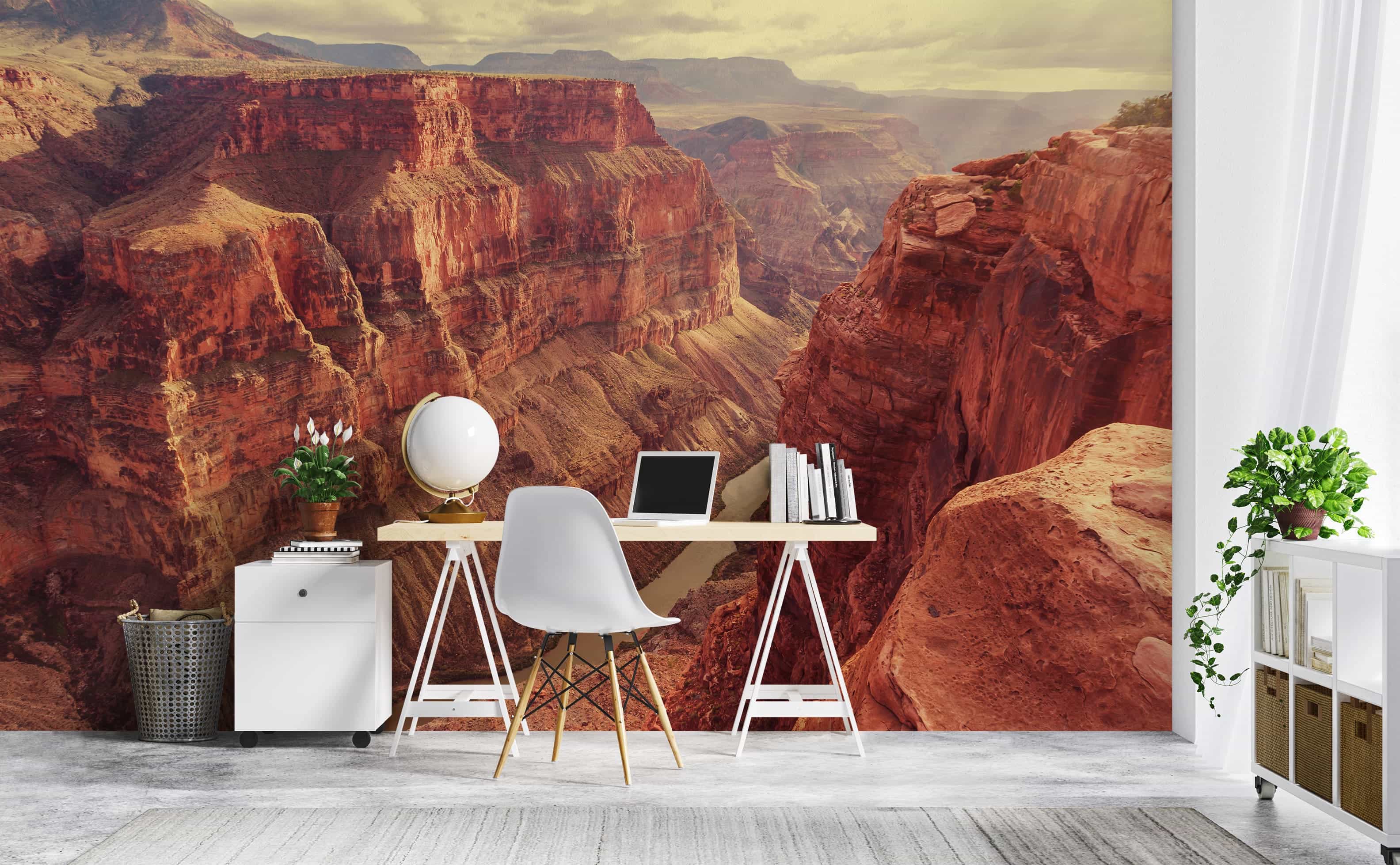 Grand Canyon | Wall Mural | WallsNeedLove