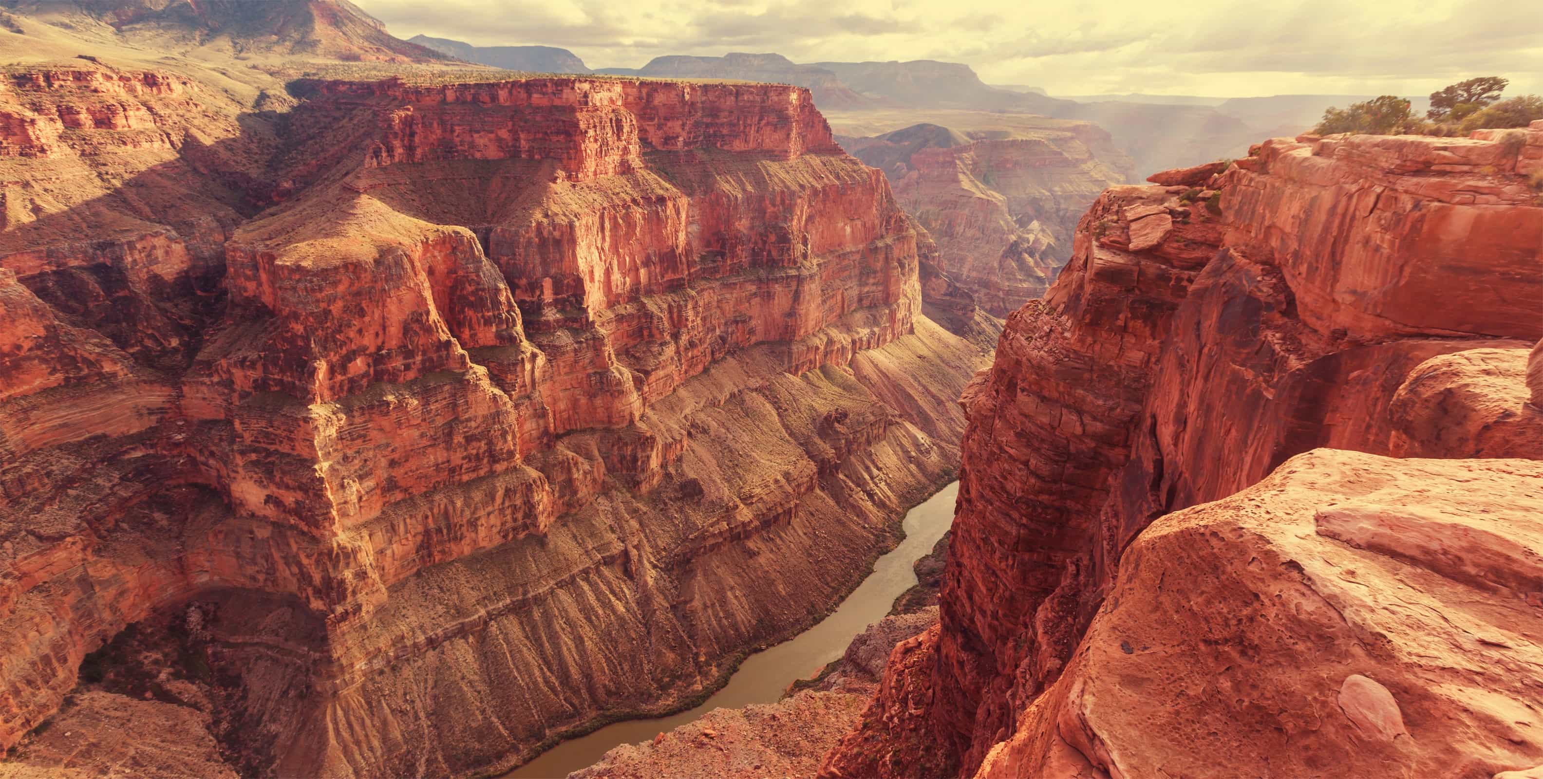Grand Canyon | Wall Mural | WallsNeedLove