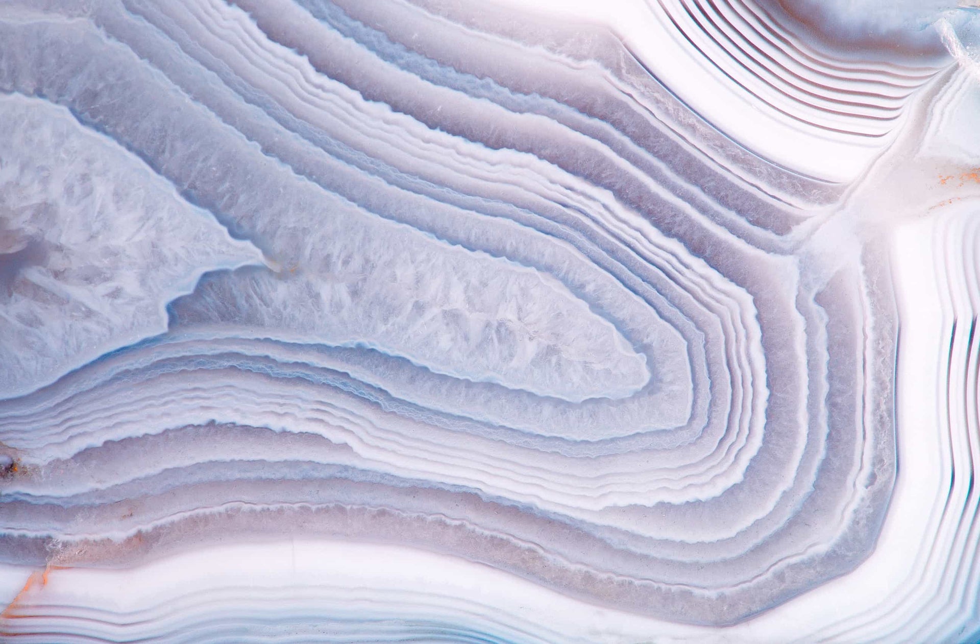 Murals all categories – WallsNeedLove