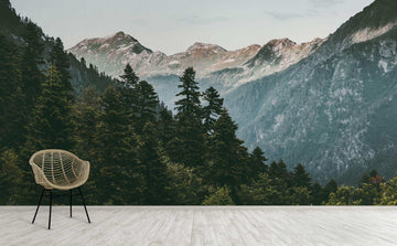 Awe-Inspiring Mountains & Peaks Wall Mural Collection – WallsNeedLove