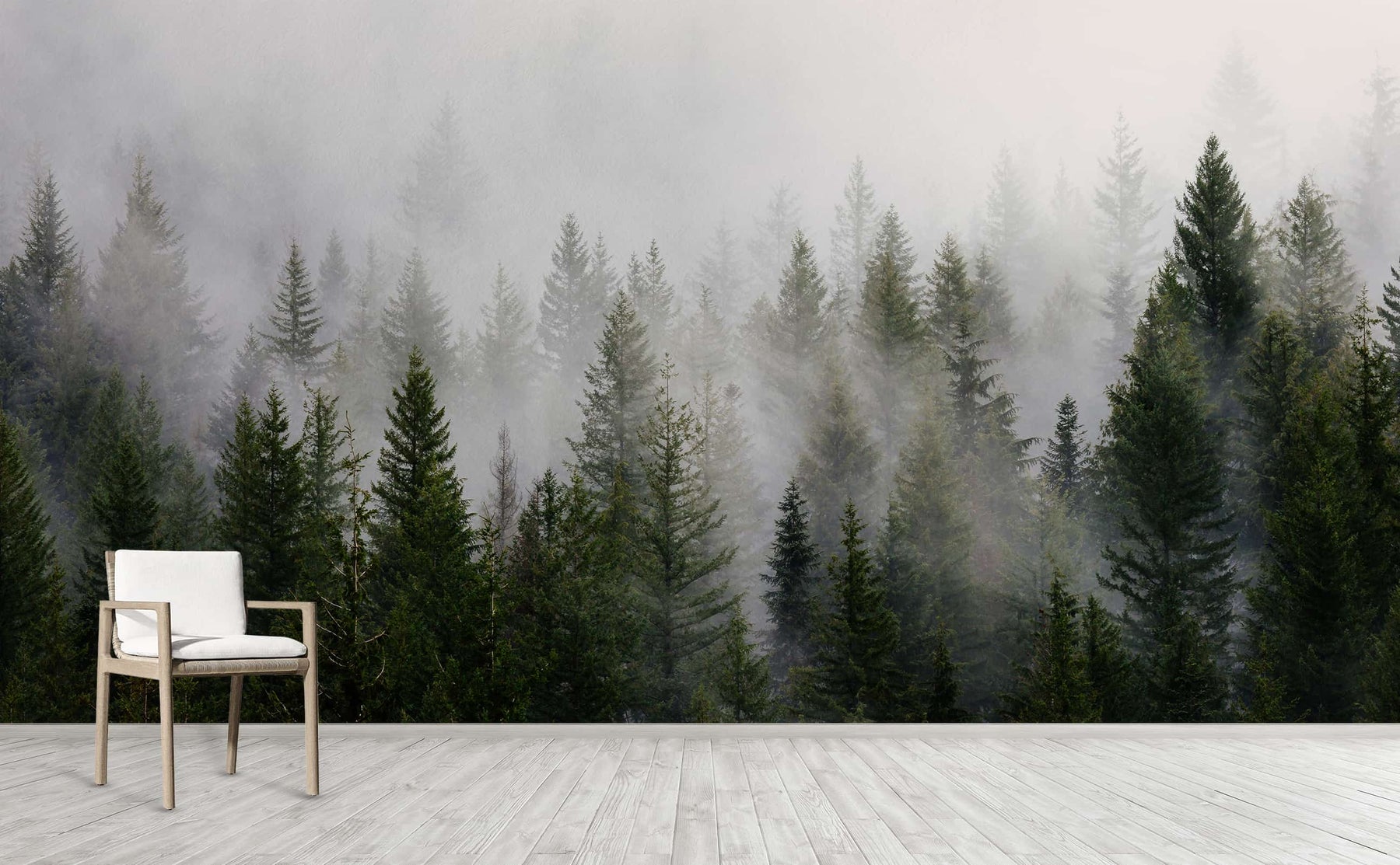 Dark green forest morning mist Wall Mural | Wildwood – WallsNeedLove