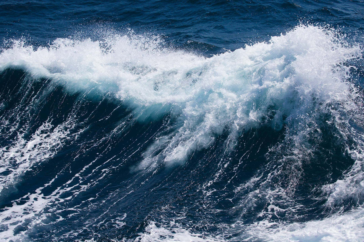 Cresting deep blue ocean wave Wall Mural | White Crest