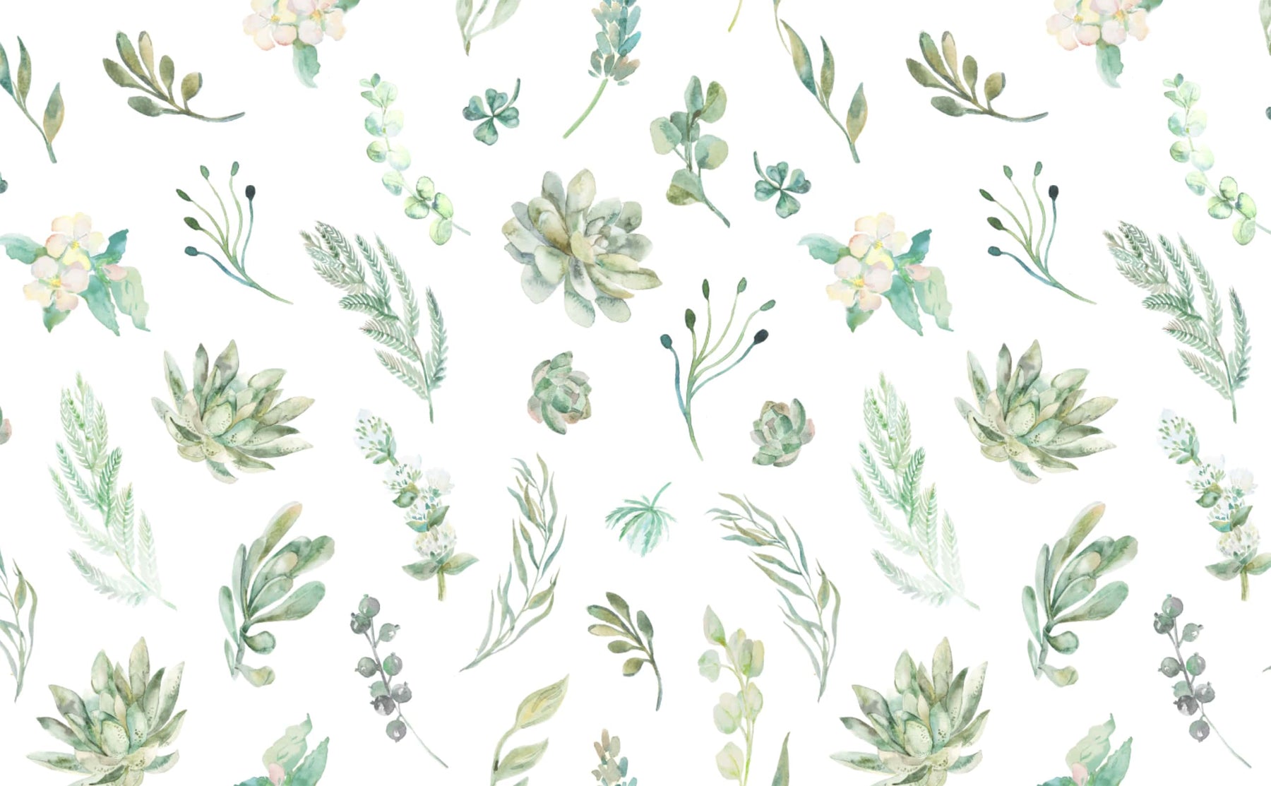 Cute watercolor botanical succulent flower seamless Wallpaper for Walls ...