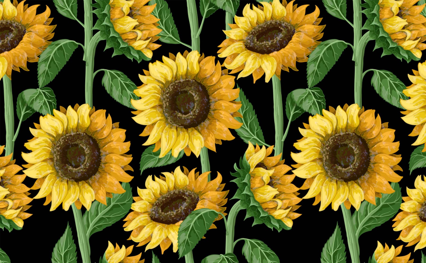 sunflowers black background